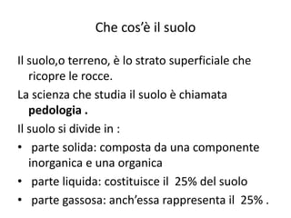 Il suolo | PPTX