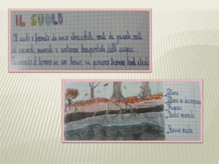 Il suolo | PPTX
