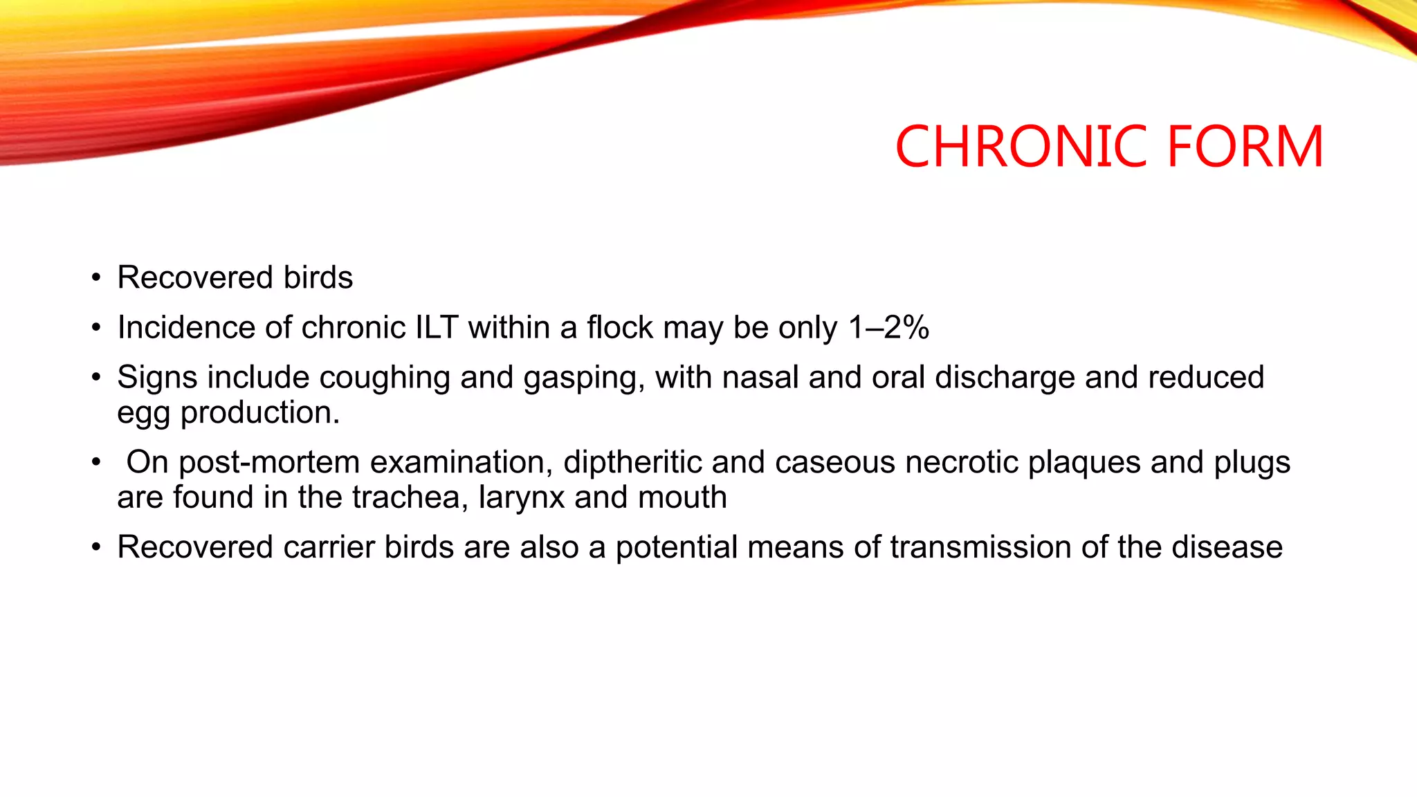 Infectious laryngotracheitis - poultry | PPTX