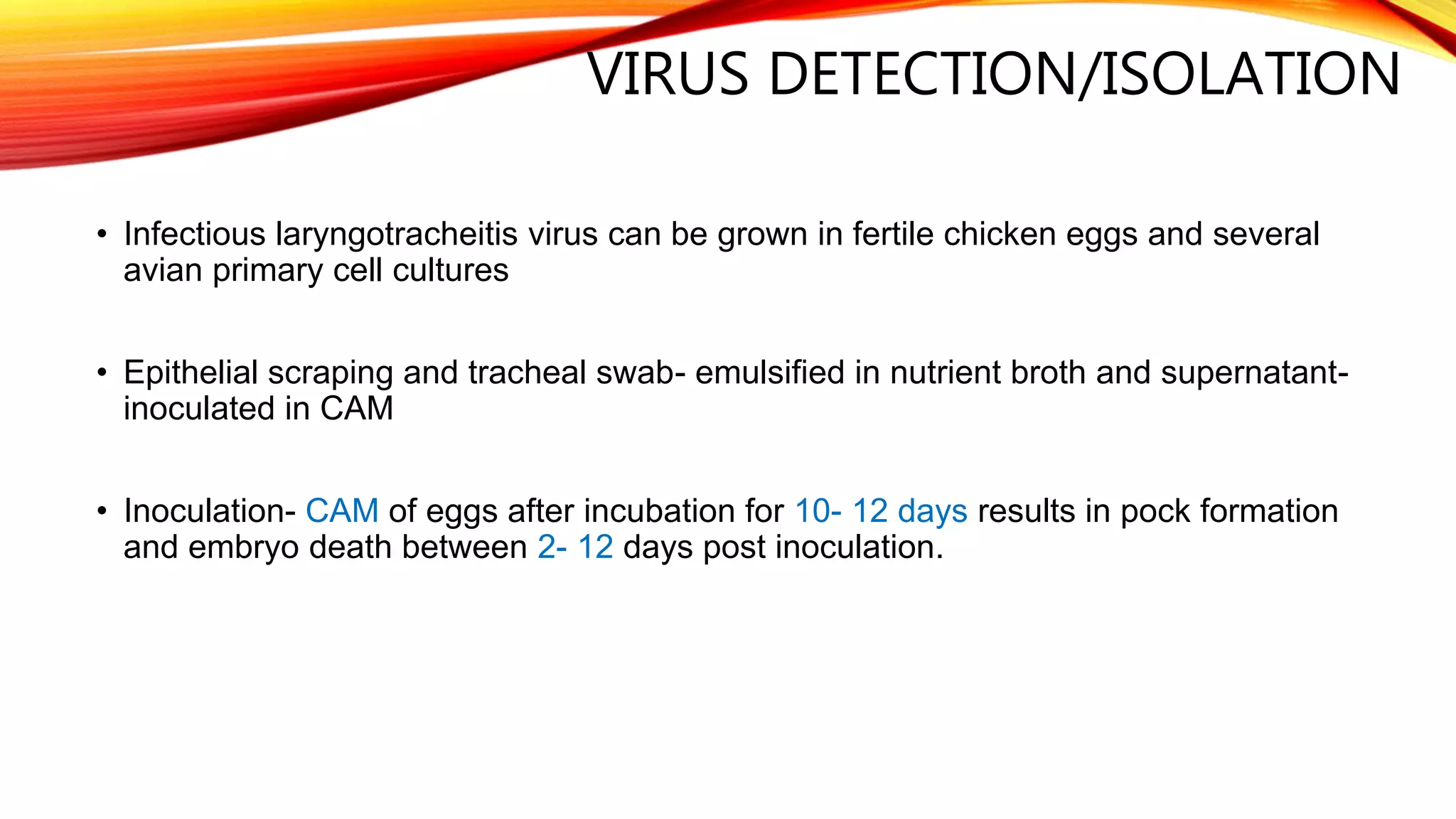 Infectious laryngotracheitis - poultry | PPTX