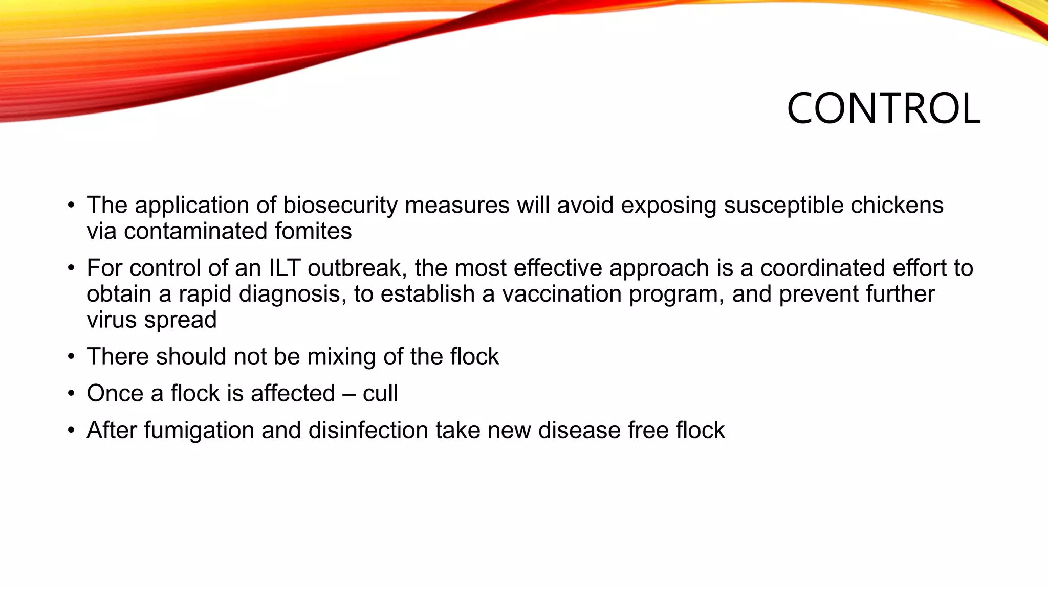 Infectious laryngotracheitis - poultry | PPTX