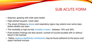 Infectious laryngotracheitis - poultry | PPTX