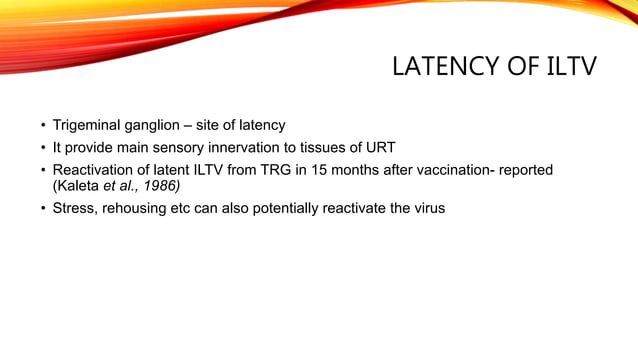 Infectious laryngotracheitis - poultry | PPTX | Infectious Diseases ...