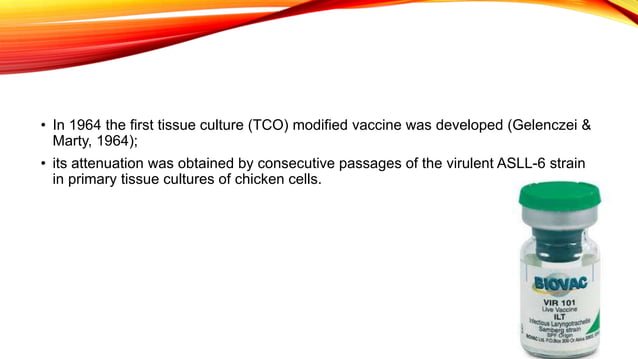 Infectious laryngotracheitis - poultry | PPTX | Infectious Diseases ...