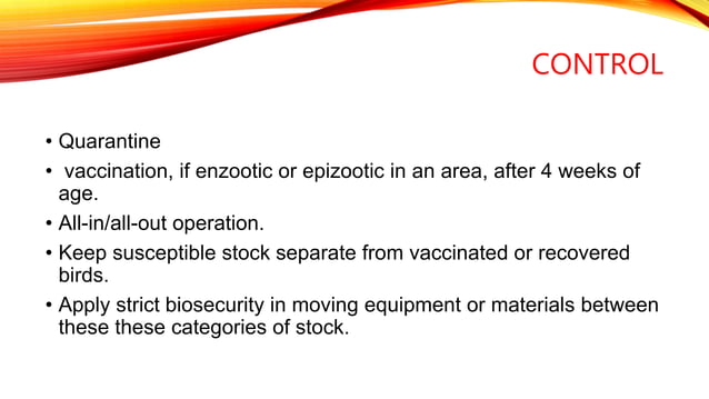 Infectious laryngotracheitis - poultry | PPTX | Infectious Diseases ...