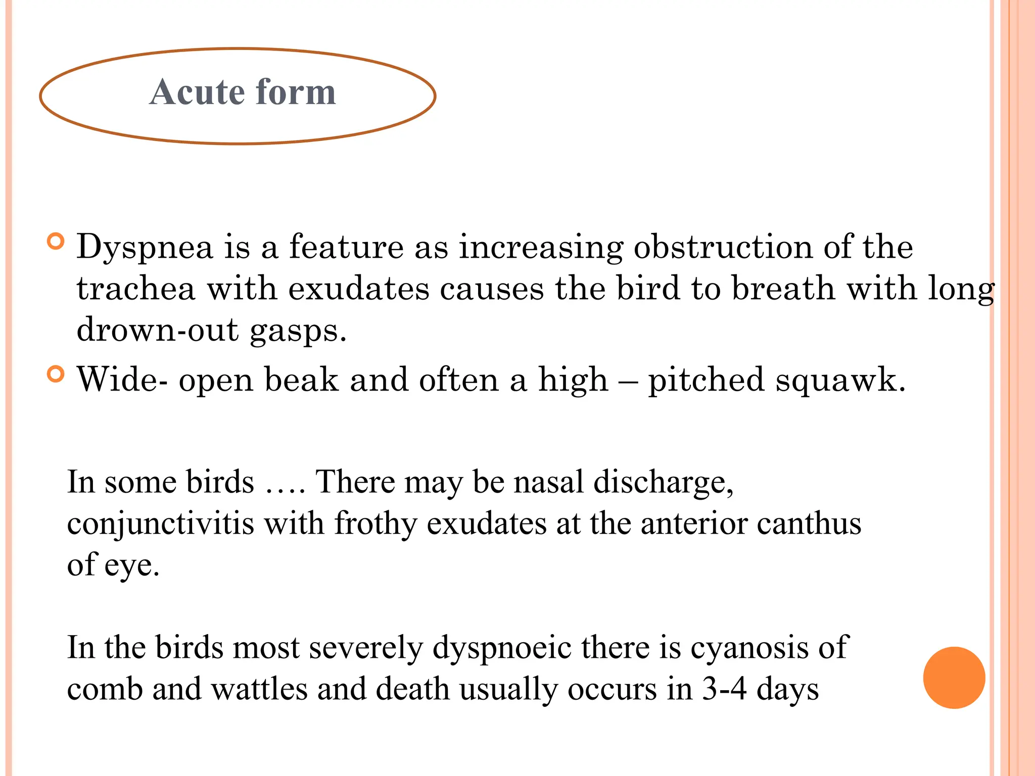 infectious laryngotracheitis of birds (ILT) .ppt