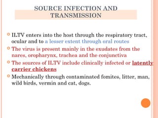 infectious laryngotracheitis of birds (ILT) .ppt