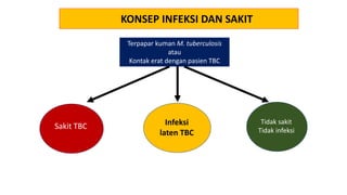 Infeksi Laten TB & Terapi Pencegahan Tuberkulosis | PPTX