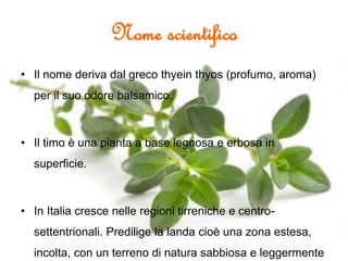 Il timo | PPSX