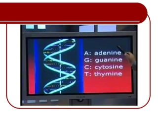 Dynamic programming | PPT