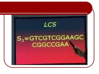 Dynamic programming | PPT