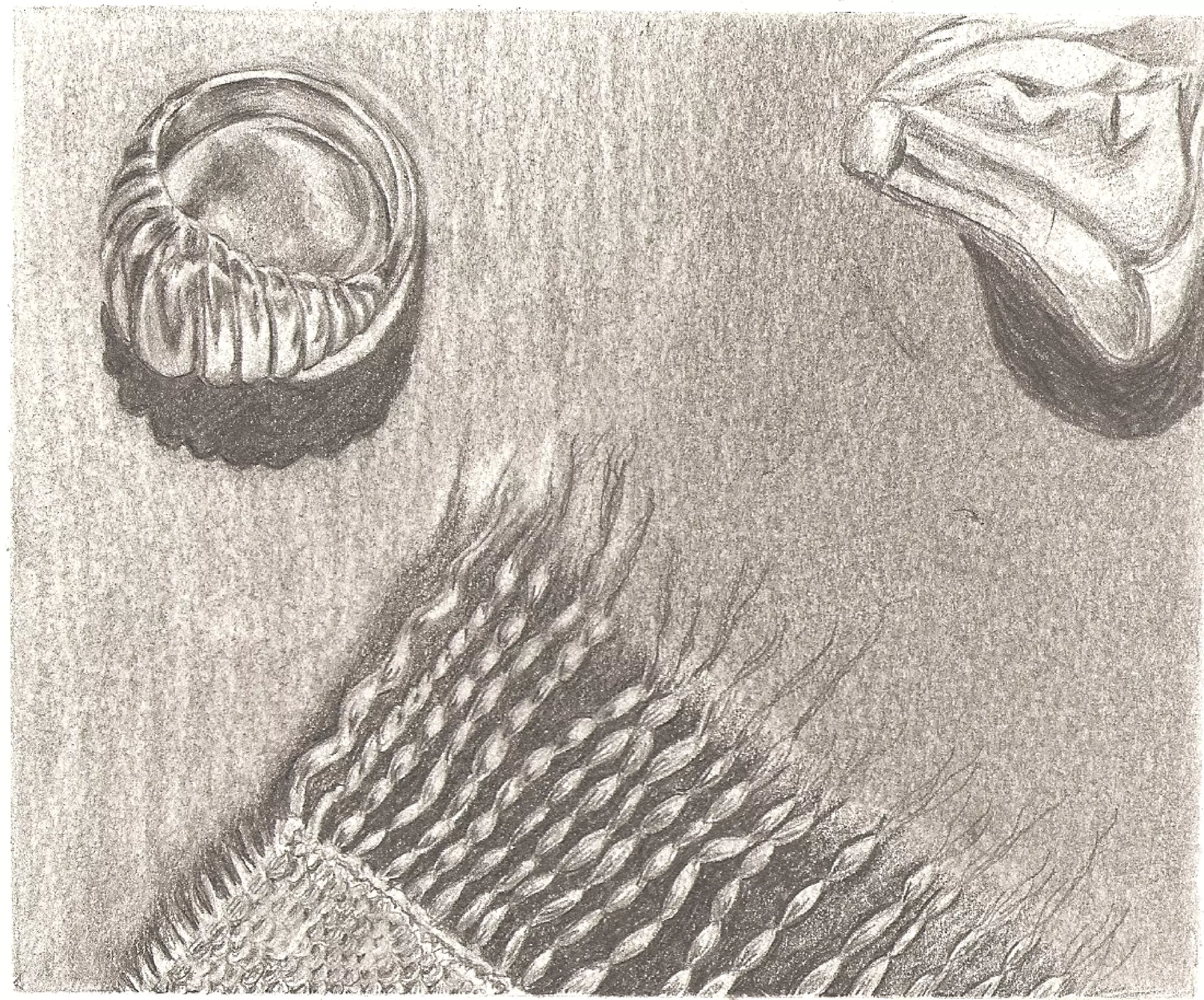 Details of three textures | PDF