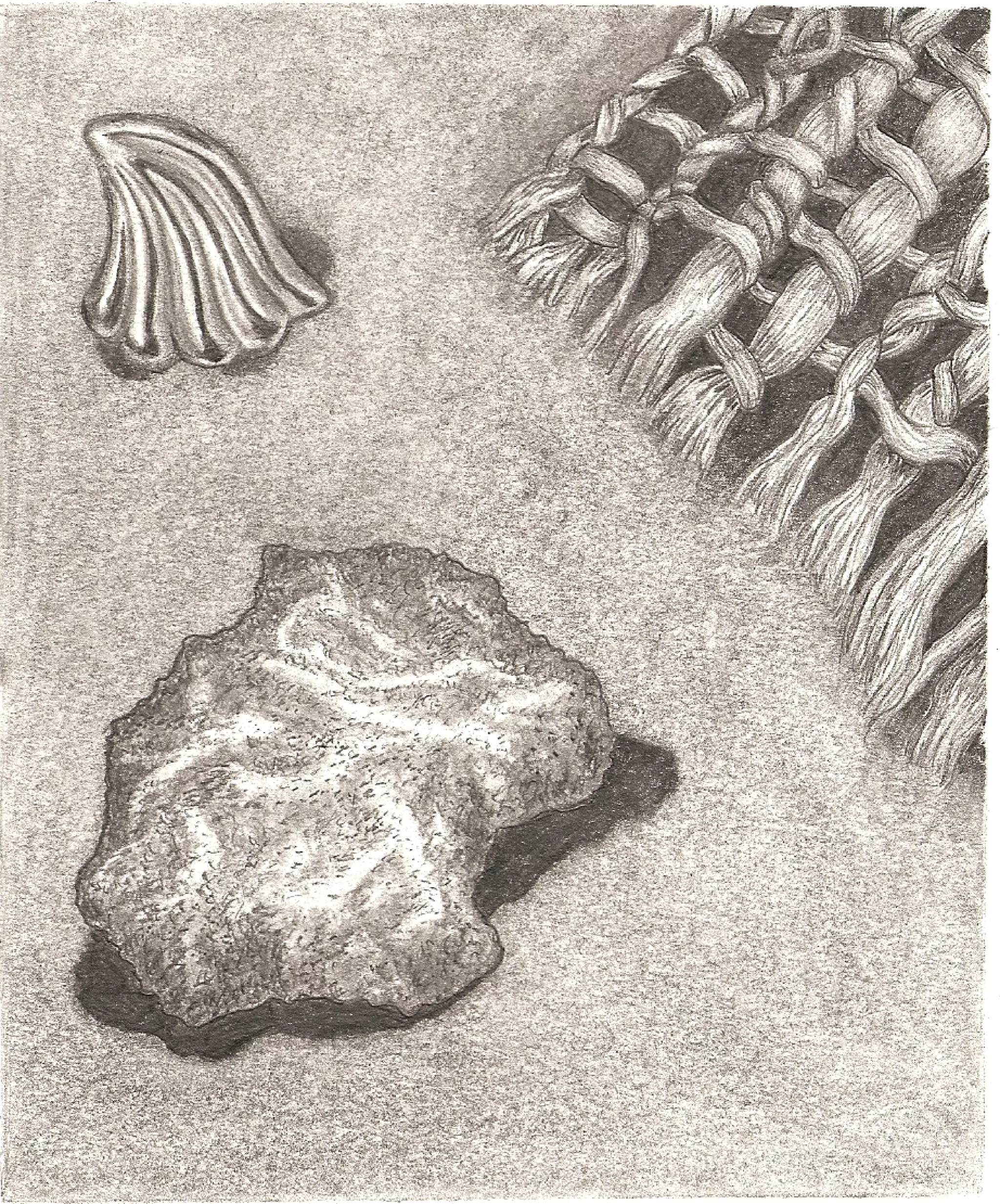 Detail of three textures #2 | PDF