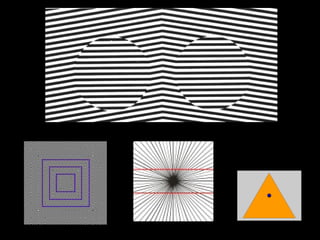 Ilusions Optiques | PPS