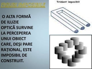 Iluzia optica | PPTX