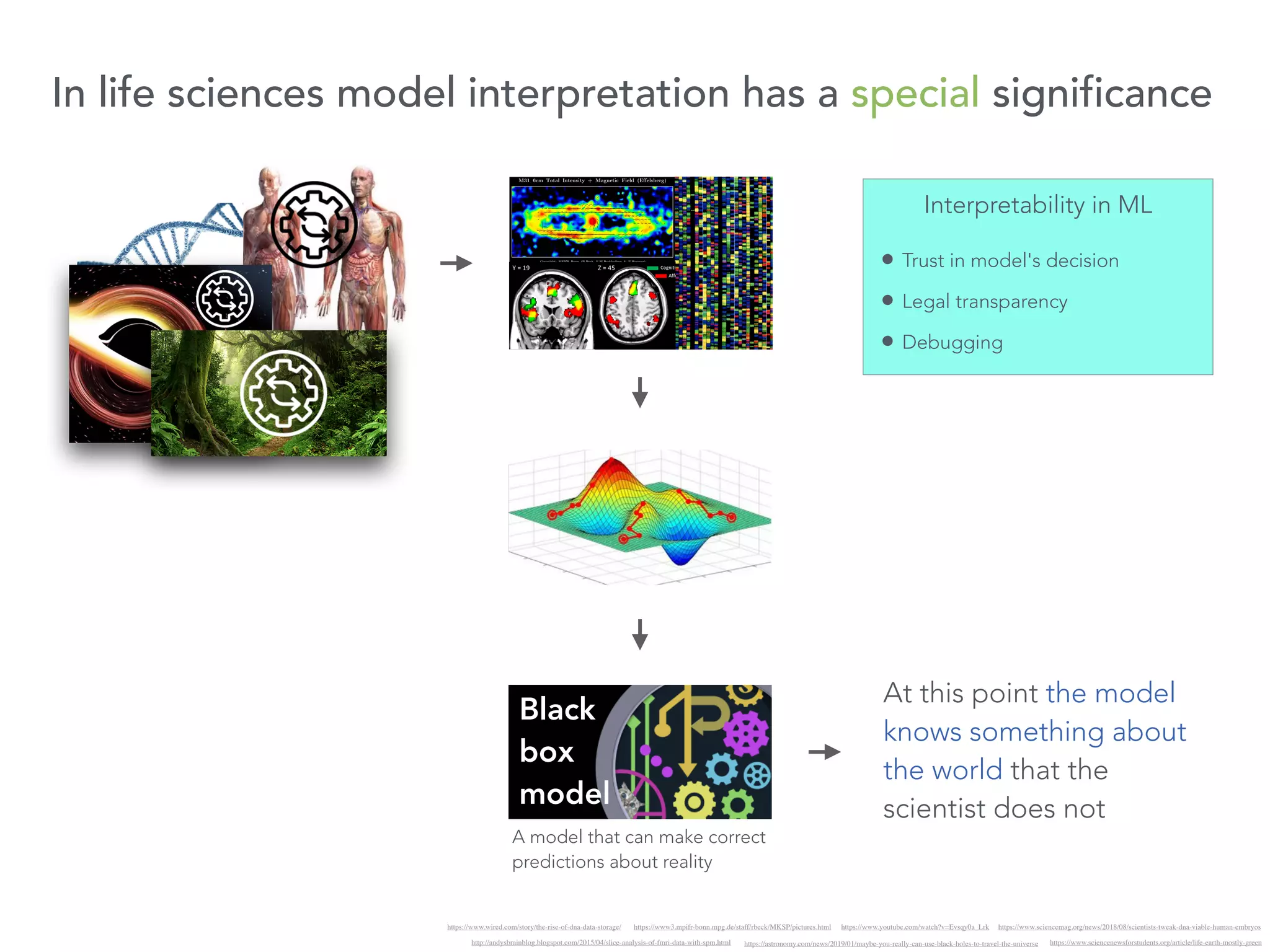 Understanding Information Processing in Human Brain by Interpreting ...