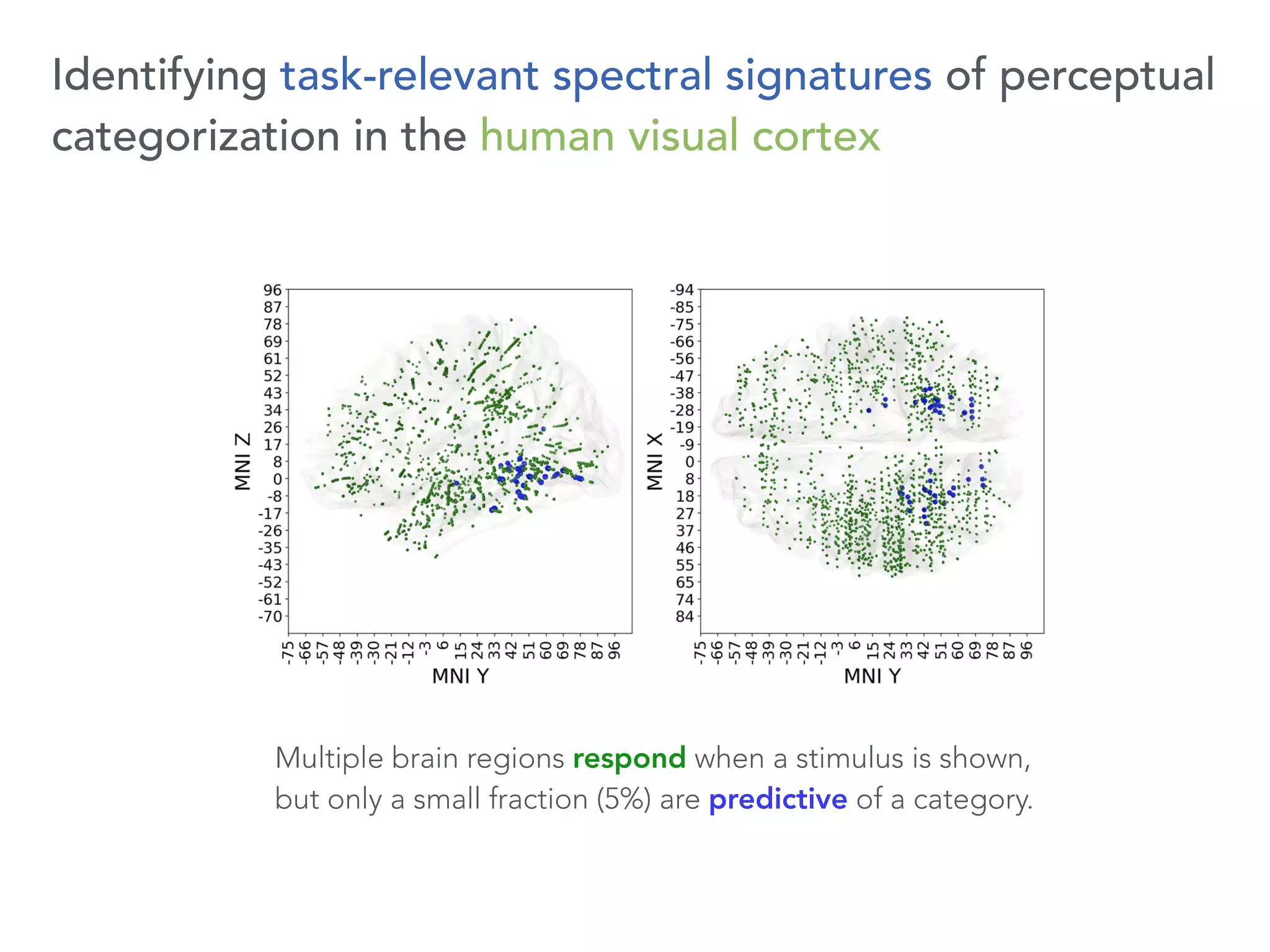 Understanding Information Processing in Human Brain by Interpreting Machine Learning Models ...