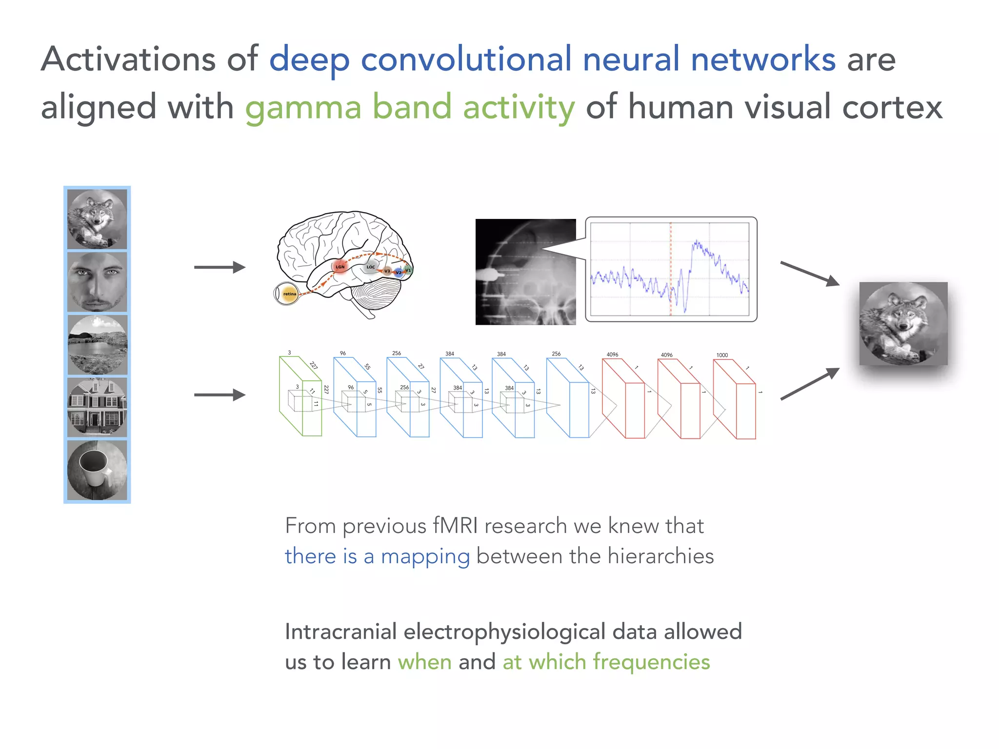 Understanding Information Processing in Human Brain by Interpreting Machine Learning Models ...