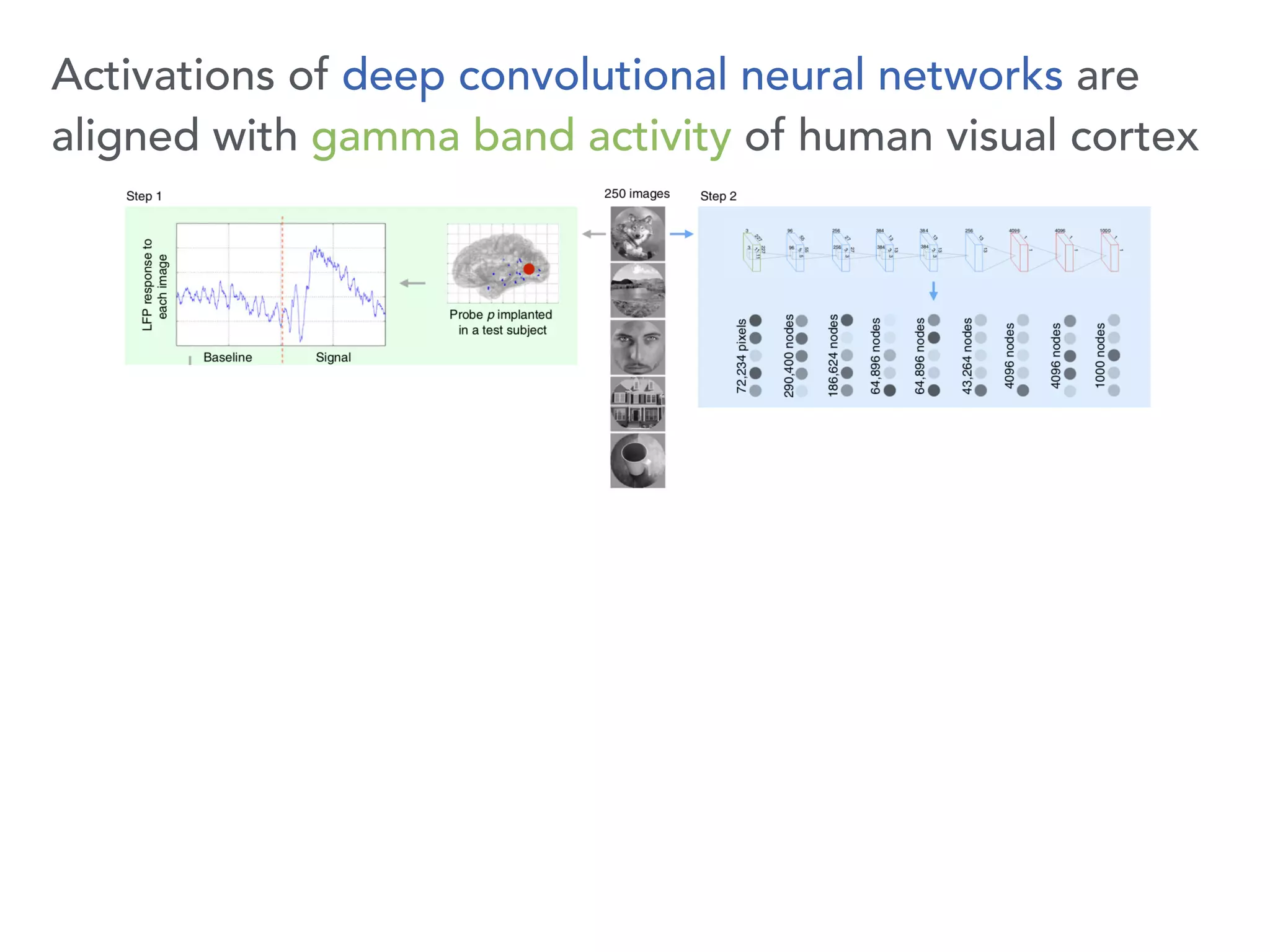 Understanding Information Processing in Human Brain by Interpreting Machine Learning Models ...