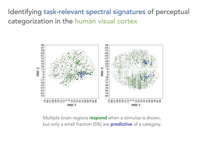 Understanding Information Processing in Human Brain by Interpreting ...