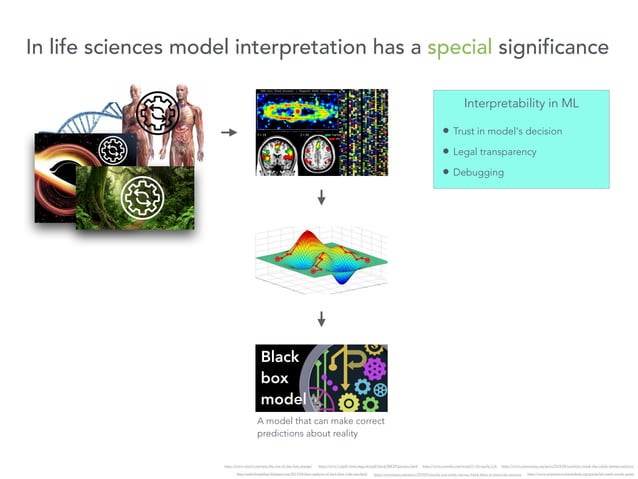 Understanding Information Processing in Human Brain by Interpreting Machine Learning Models ...