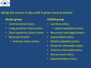 BLOOD_SUPPLY_OF_ORBIT presentation .pptx