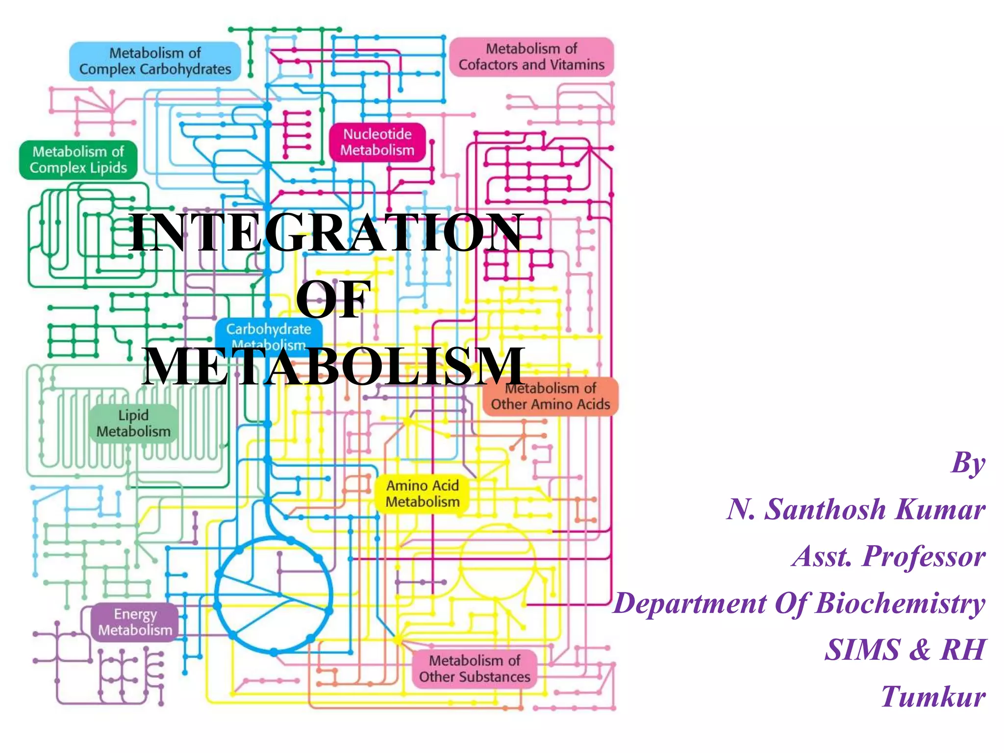 IM-01 Integrated Metabolism | PPTX