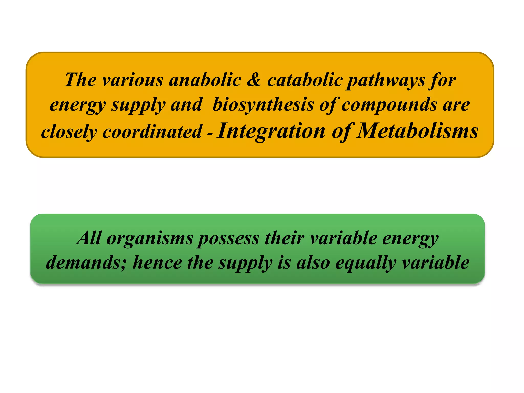 IM-01 Integrated Metabolism | PPTX