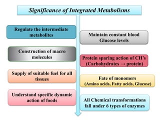 IM-01 Integrated Metabolism | PPT