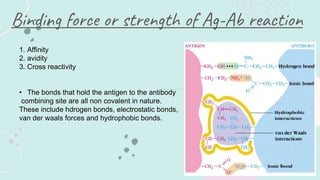 AGGLUTINATION | PPTX | Infectious Diseases | Diseases and Conditions
