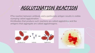 AGGLUTINATION | PPTX | Infectious Diseases | Diseases and Conditions