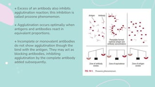 AGGLUTINATION | PPTX | Infectious Diseases | Diseases and Conditions