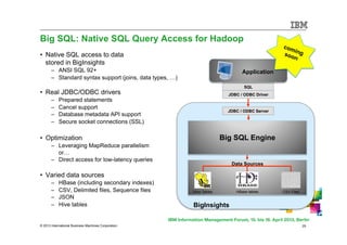 InfoSphere BigInsights | PDF