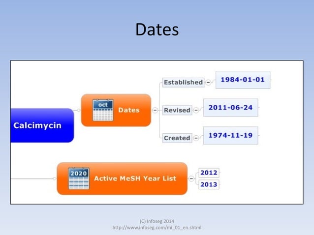 Mind Mapping automation in the visualization of MeSH (Medical Subject ...