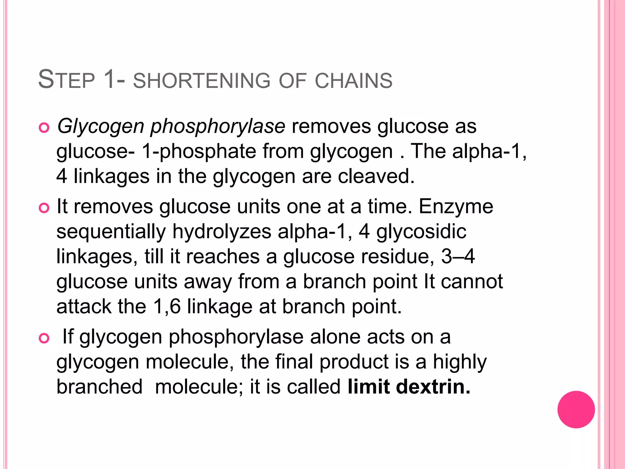 glycogenesis and glycogenolysis | PPT