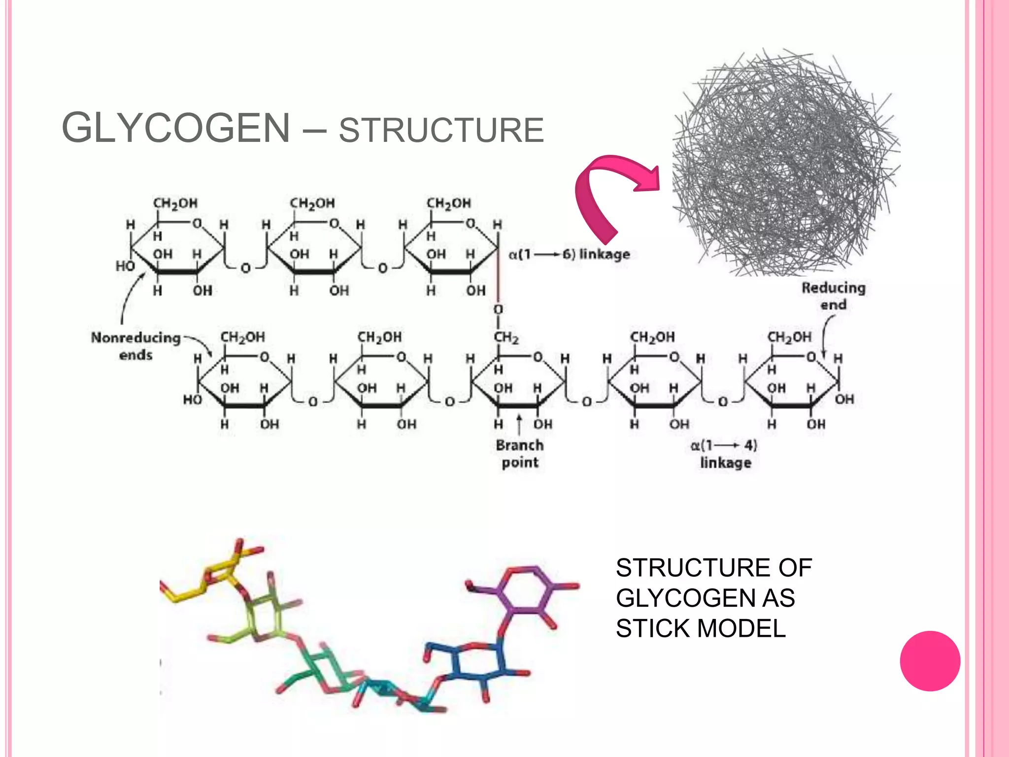 glycogenesis and glycogenolysis | PPTX | Endocrine and Metabolic ...