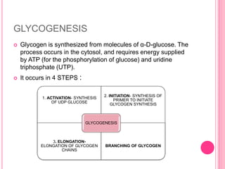 glycogenesis and glycogenolysis | PPTX