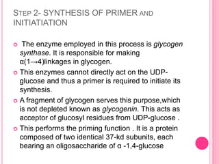glycogenesis and glycogenolysis | PPTX
