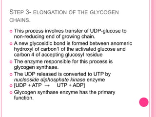 glycogenesis and glycogenolysis | PPTX