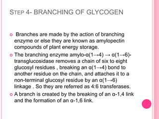 glycogenesis and glycogenolysis | PPTX