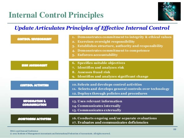 Leveraging Effective Risk Management and Internal Control for Your Or…
