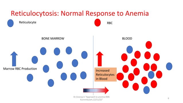 Anemia APPROACH.pptx