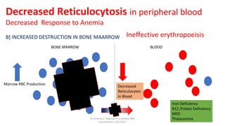 Anemia APPROACH.pptx