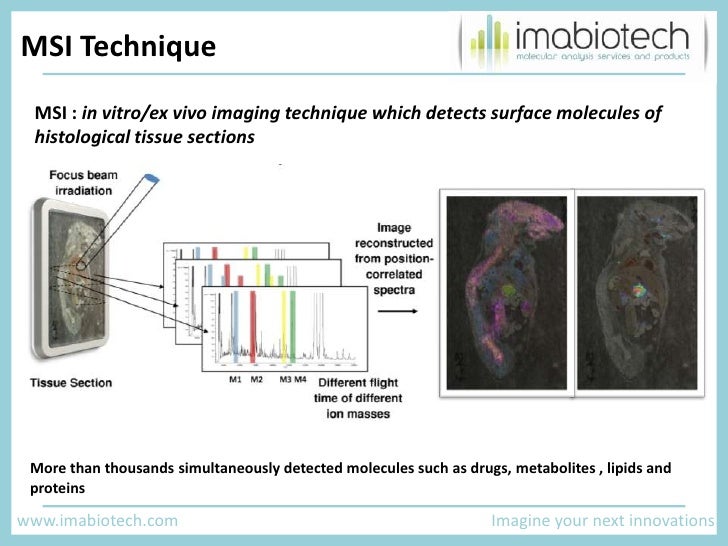 MALDI imaging at Imabiotech