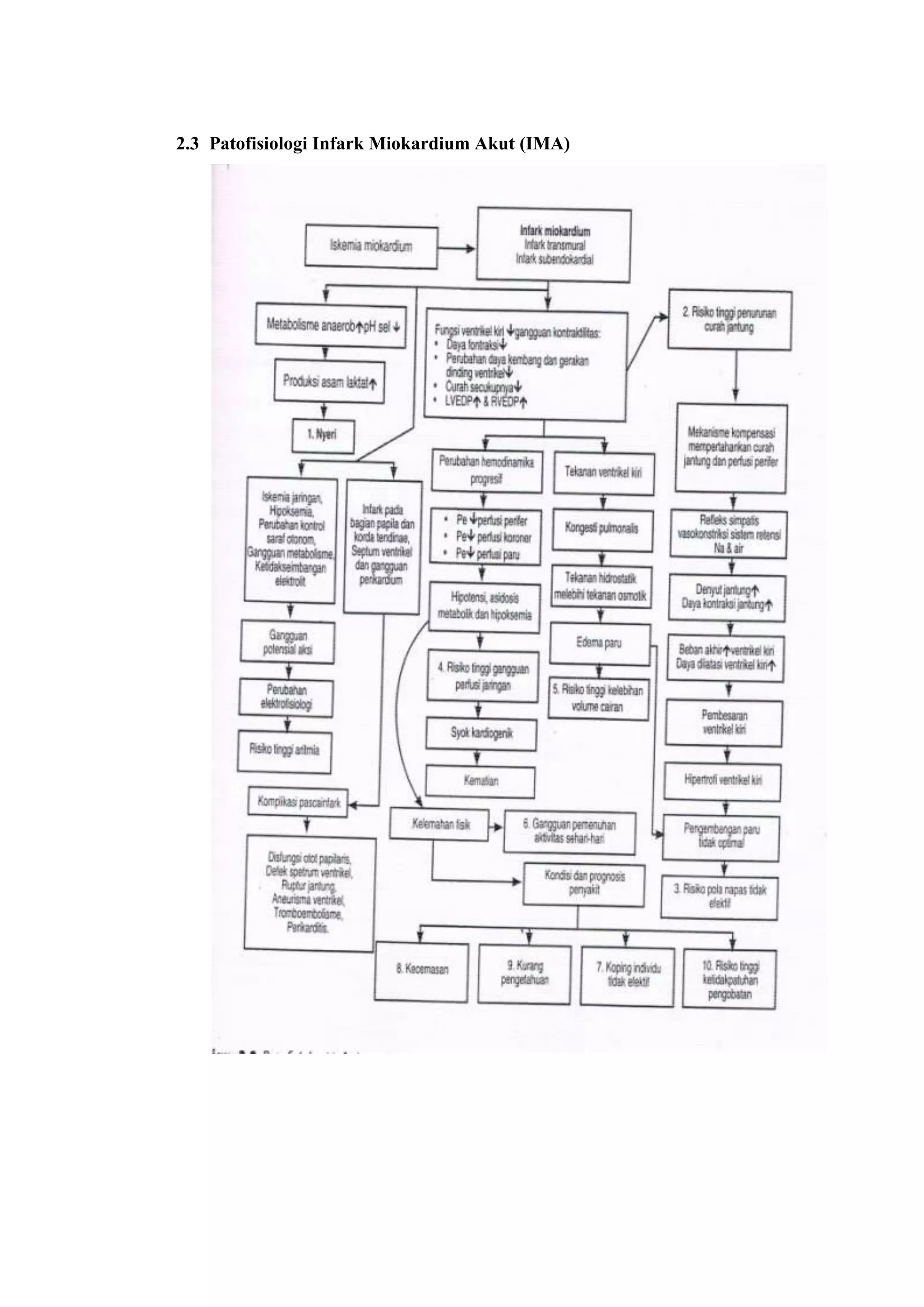 Asuhan Keperawatan IMA (Infark Miokardium Akut) | DOCX