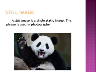 INTRODUCTION TO IMAGE | PPTX