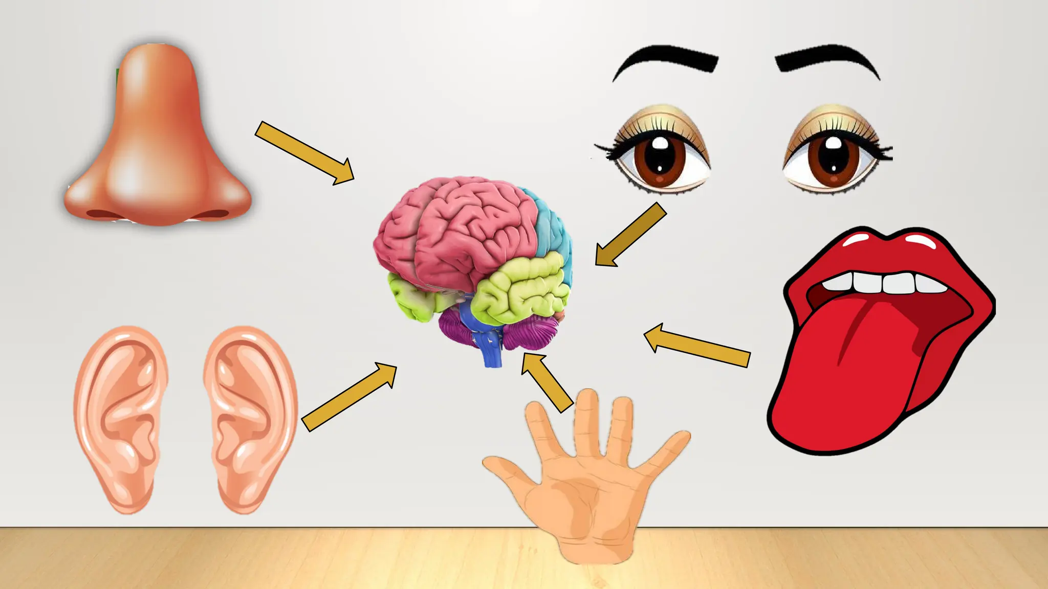 sensory images- imagery for classroom observation.pptx