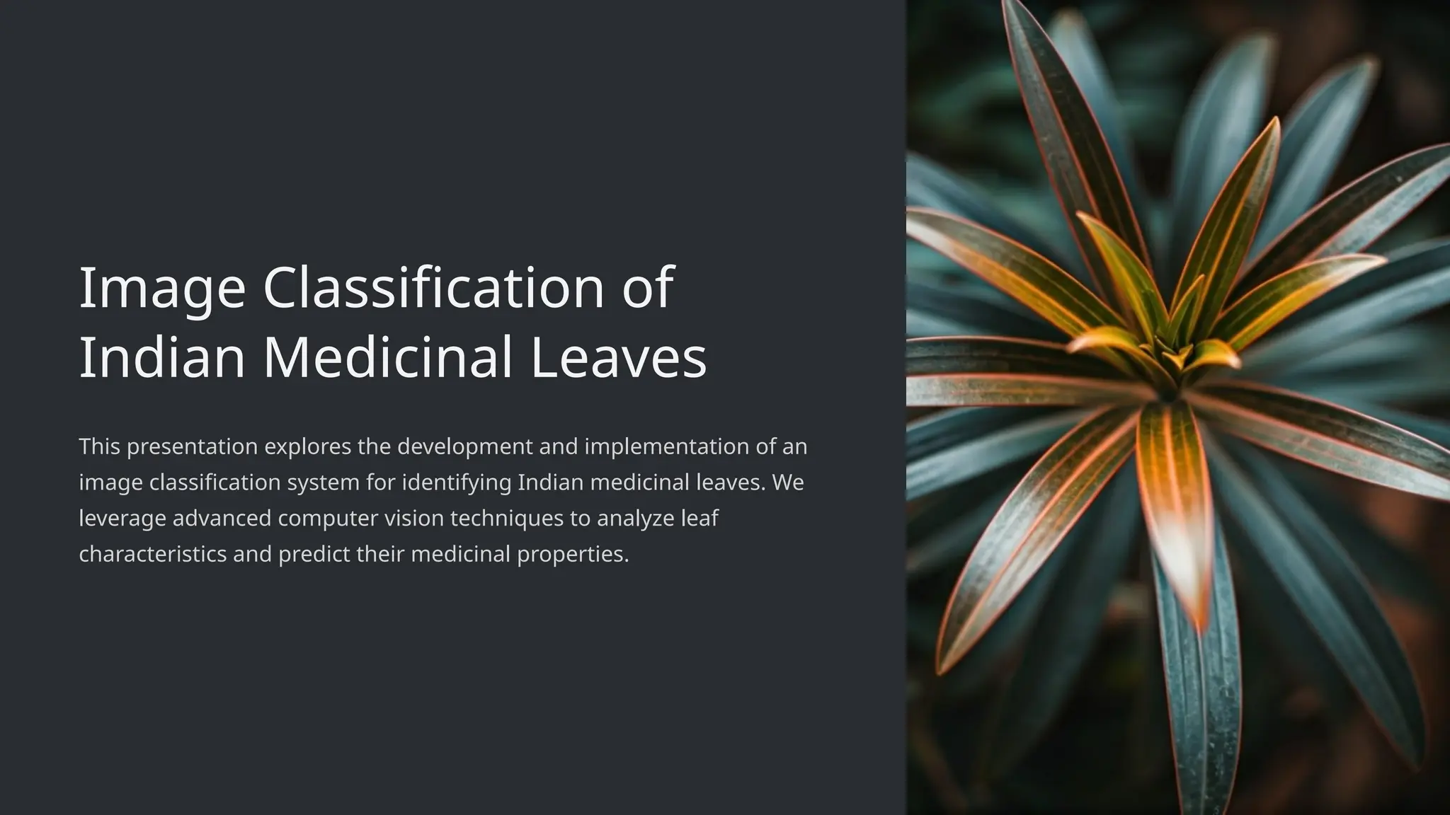 Image-Classification-of-Indian-Medicinal-Leaves.pptx