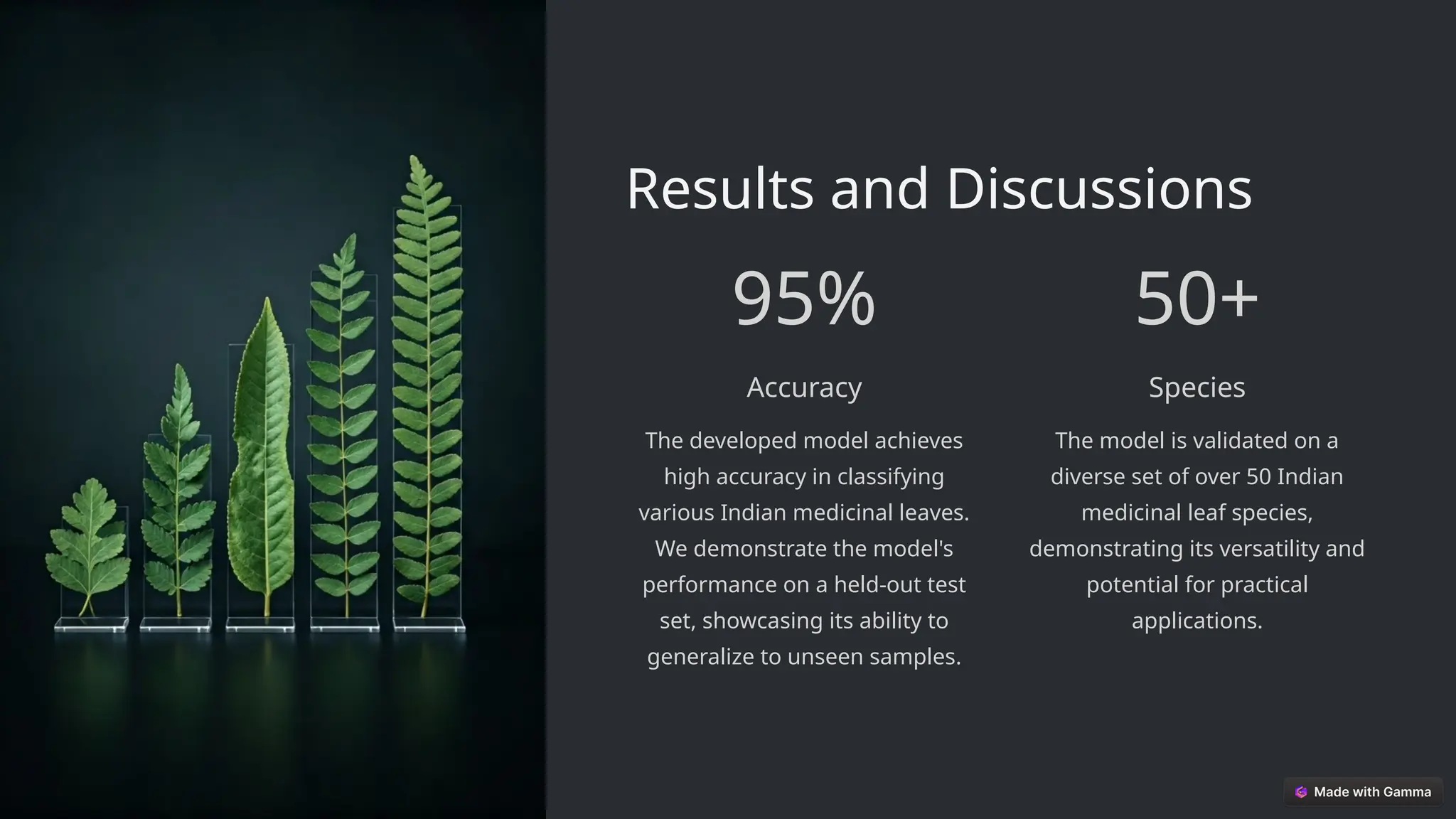 Image-Classification-of-Indian-Medicinal-Leaves.pptx