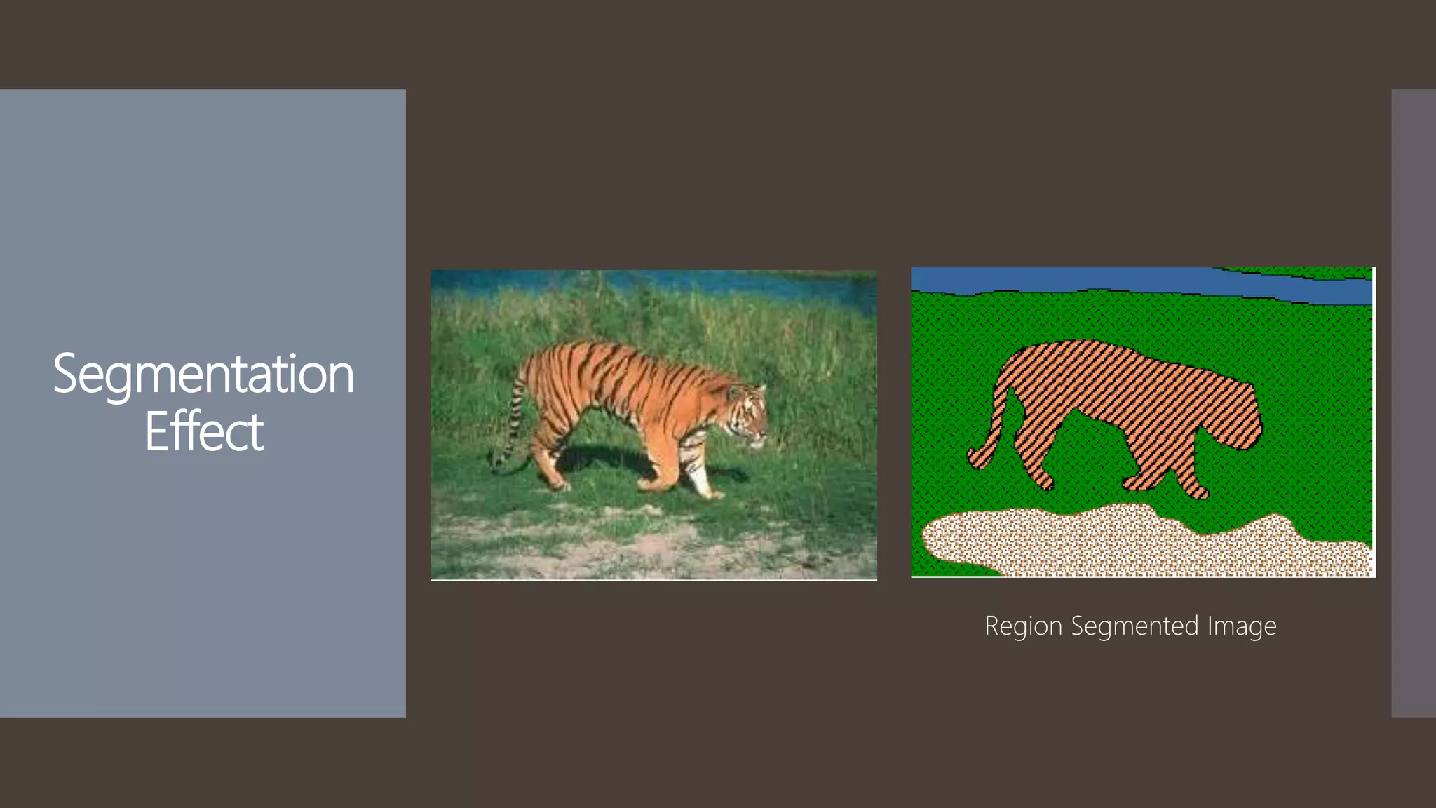 Region based image segmentation | PPTX